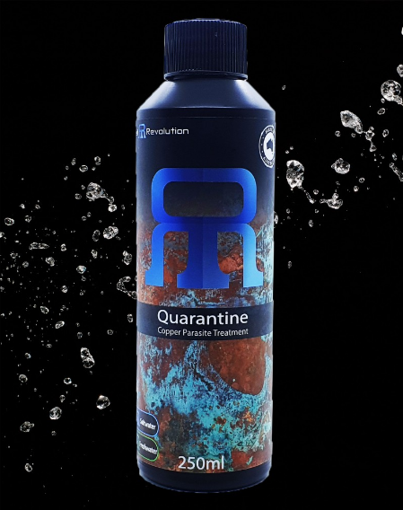 Reef Revolution Quarantine | Canberra Marine