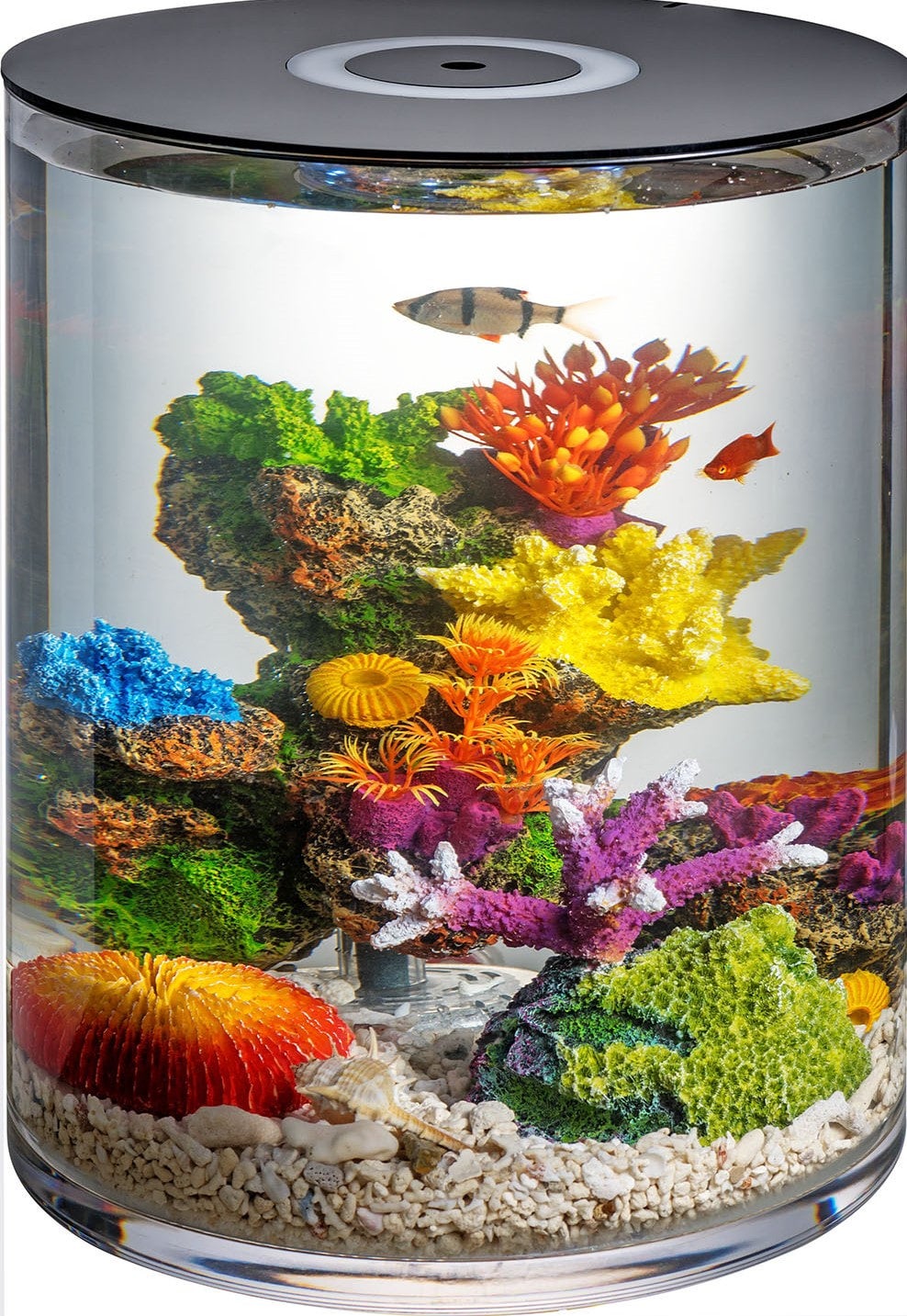 Pet worx Tank Cylinder 35cmx35cm | Canberra Marine
